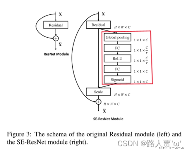 SENet_senet模块-CSDN博客