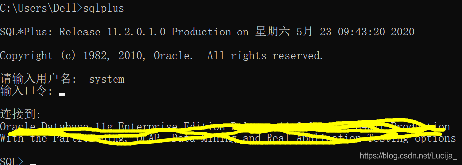 如何检测Oracle11g是否安装成功_验证oracle11g安装成功-CSDN博客