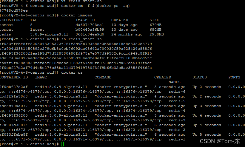 Docker 部署 redis_cenetos docker hostconfig.json 再哪里-CSDN博客