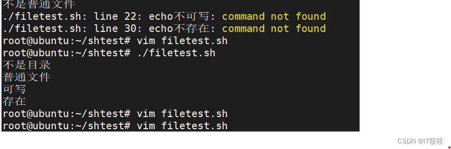 Linux[Shell脚本]入门详细教程_linux shell 菜鸟教程-CSDN博客