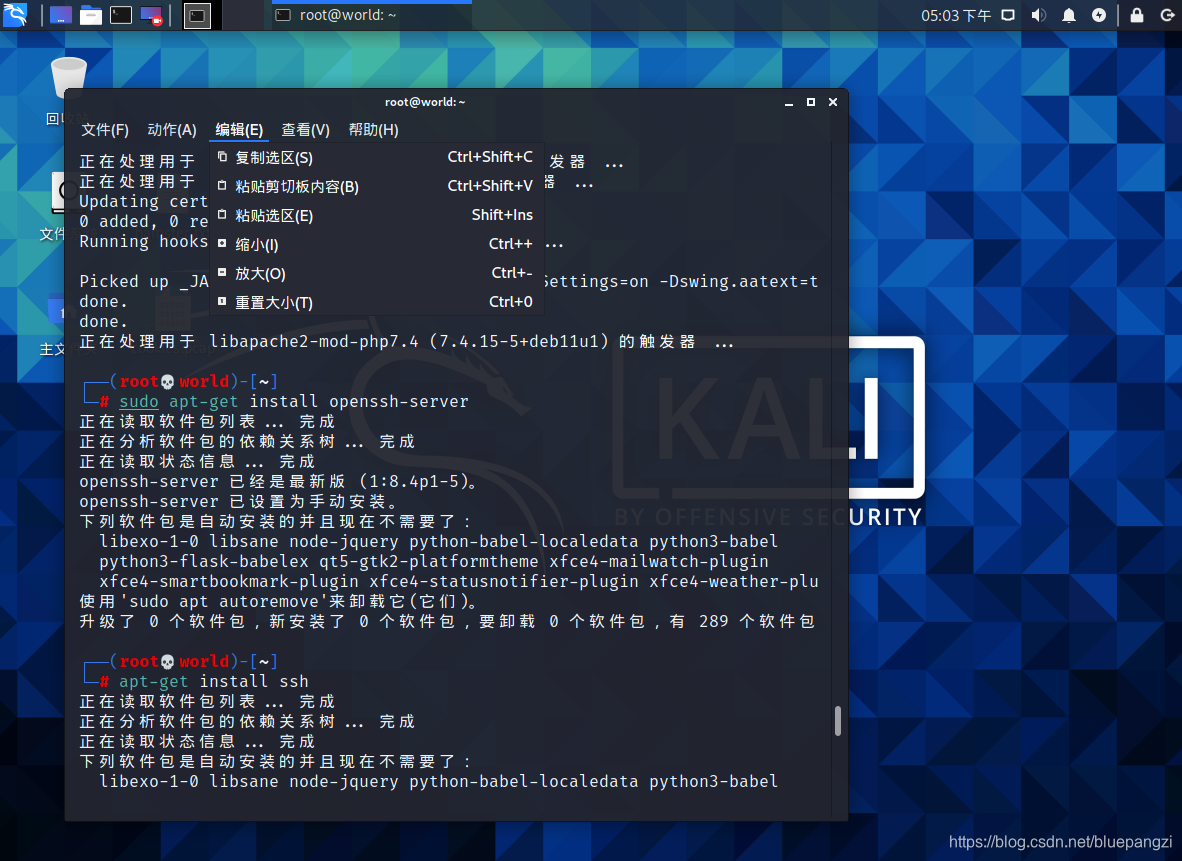 KALI操作系统升级、xshell安装_kali安装xshell-CSDN博客