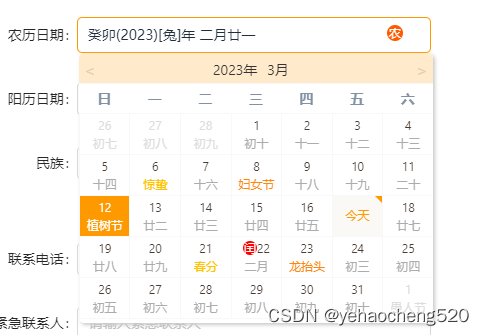 vue+antd——实现农历日期控件——技能提升_vue-jlunar-datepicker-CSDN博客