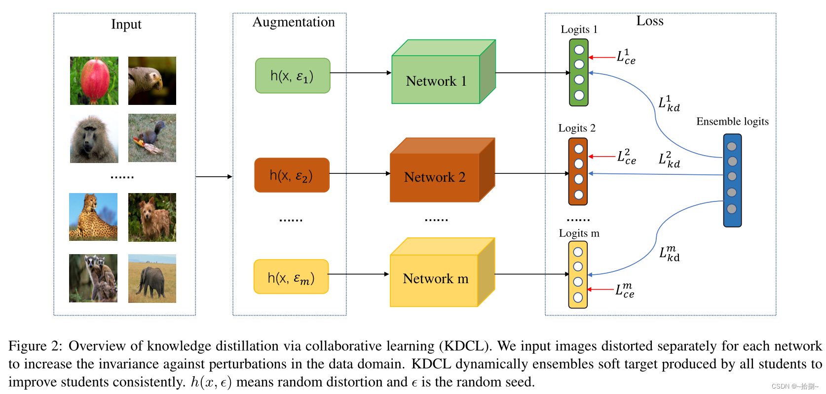 在线蒸馏论文翻译——Online Knowledge Distillation via Collaborative Learning-CSDN博客