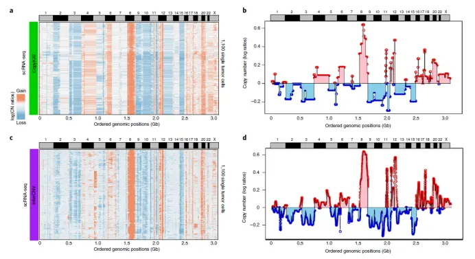 10X单细胞个性化分析之CNV篇_单细胞cnv分析-CSDN博客