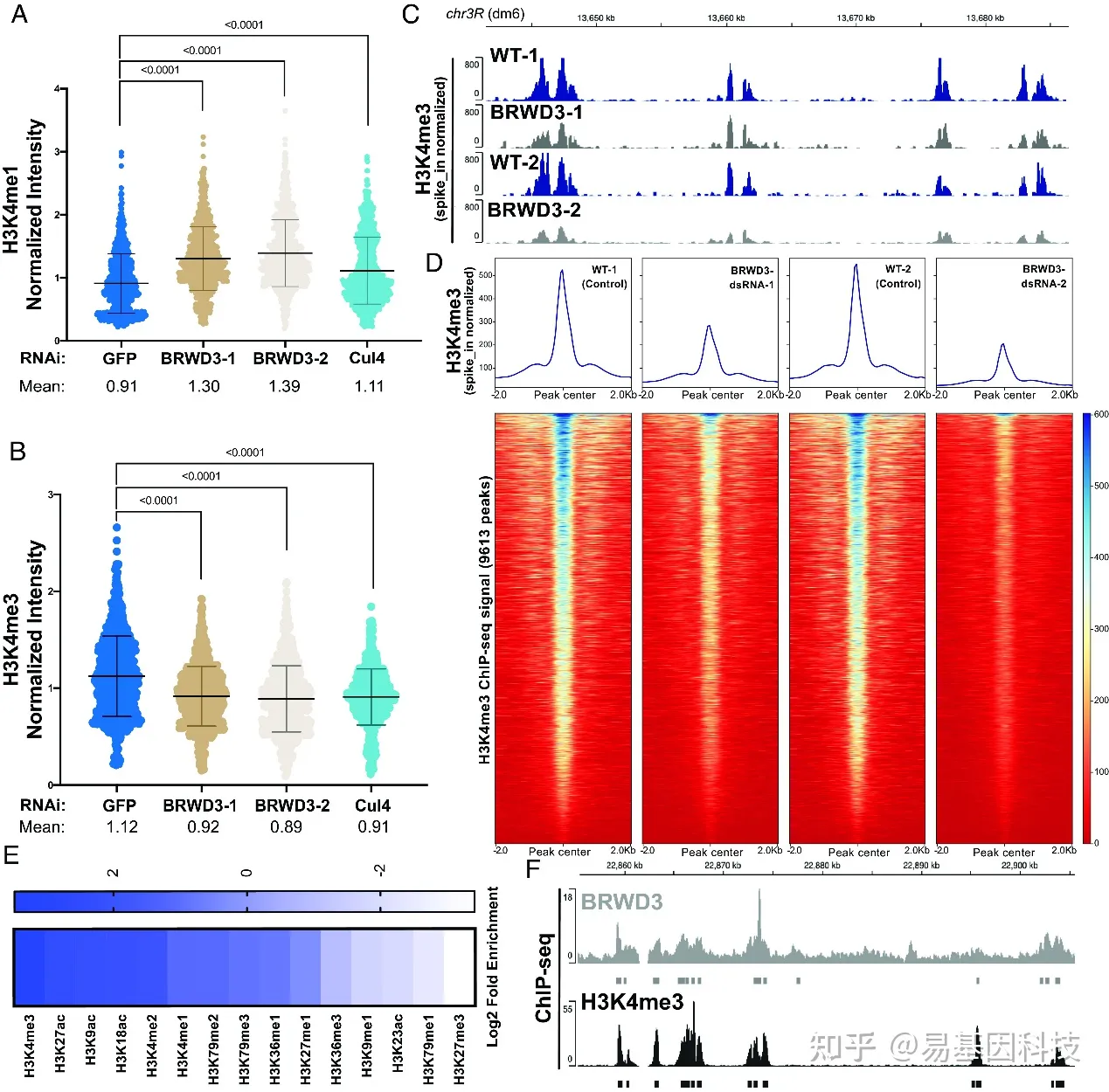 易基因：ChIP-seq等揭示BRWD3调控KDM5活性以维持H3K4甲基化水平的表观机制｜PNAS_cul4-brwd3-CSDN博客