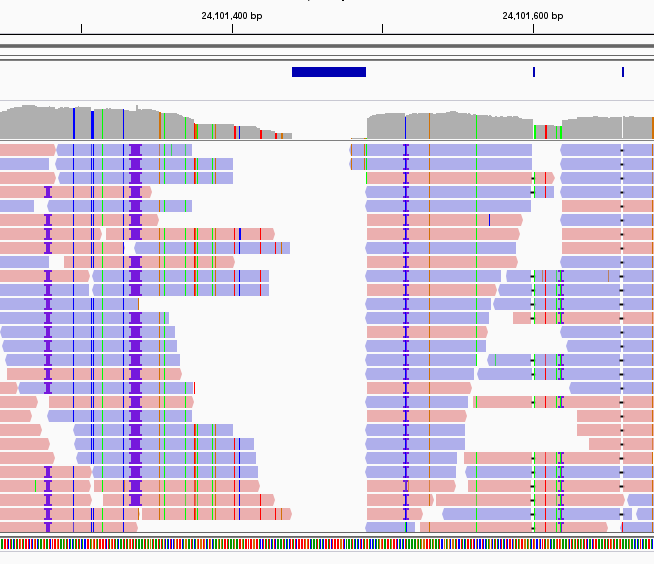 「GATK 4」如何提高HaplotyperCaller的效率-CSDN博客