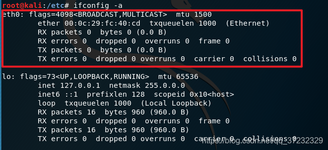 Linux Kali无法联网_kali只有inet6没有inet-CSDN博客