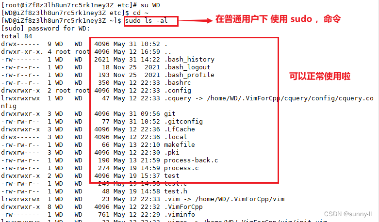 【Linux】手把手教你在Linux环境下为普通用户 sudo 提权_linux sudo-CSDN博客