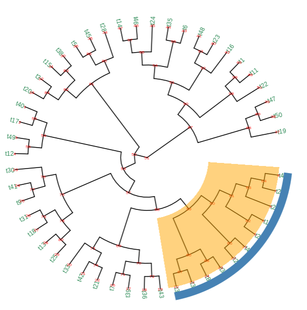【R语言】R包-探索ggtree进化树美化_r美化进化树-CSDN博客