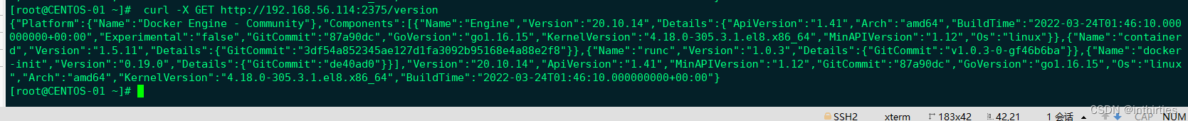 Docker Restful API快速入门_docker api-CSDN博客