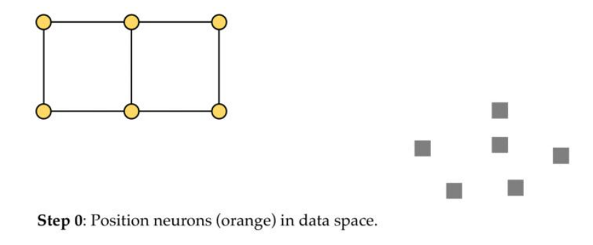 SOM是什么？SOM聚类讲解-CSDN博客