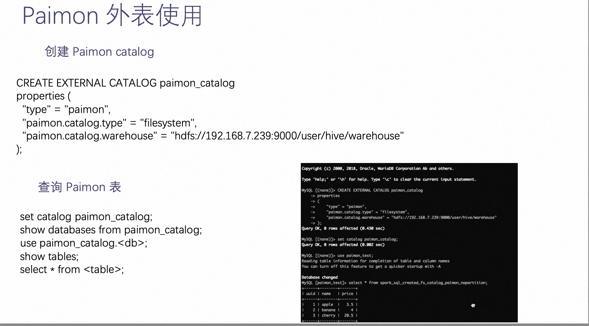 Paimon+StarRocks 湖仓一体数据分析方案_starrocks paimon-CSDN博客