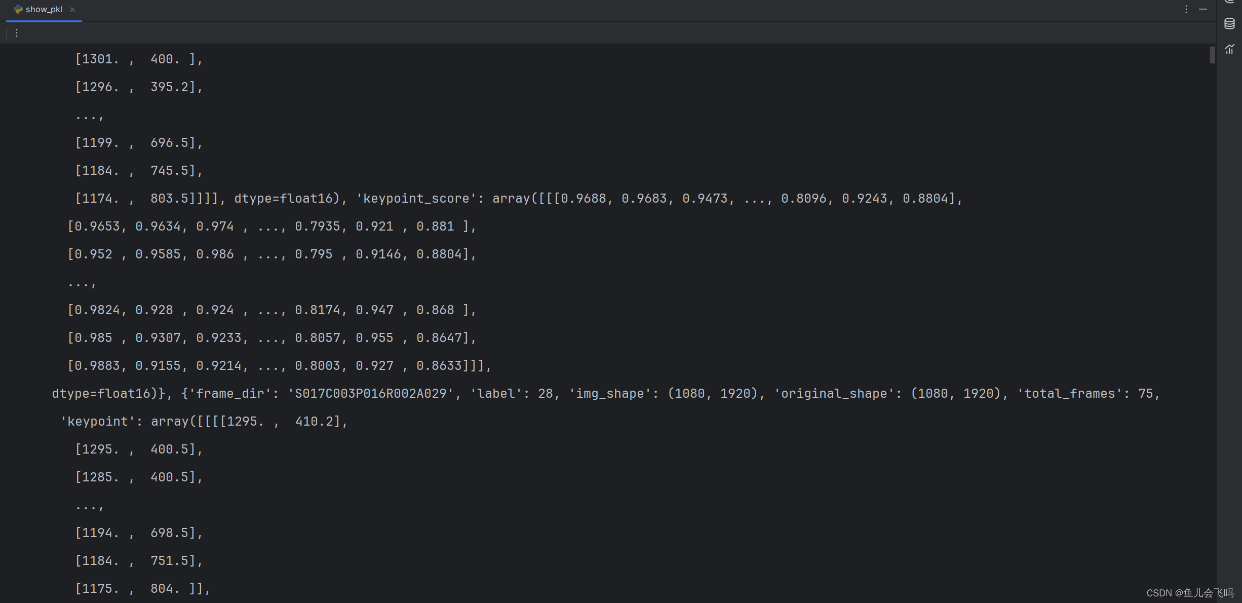 如何打开.pkl文件查看里面的内容-CSDN博客