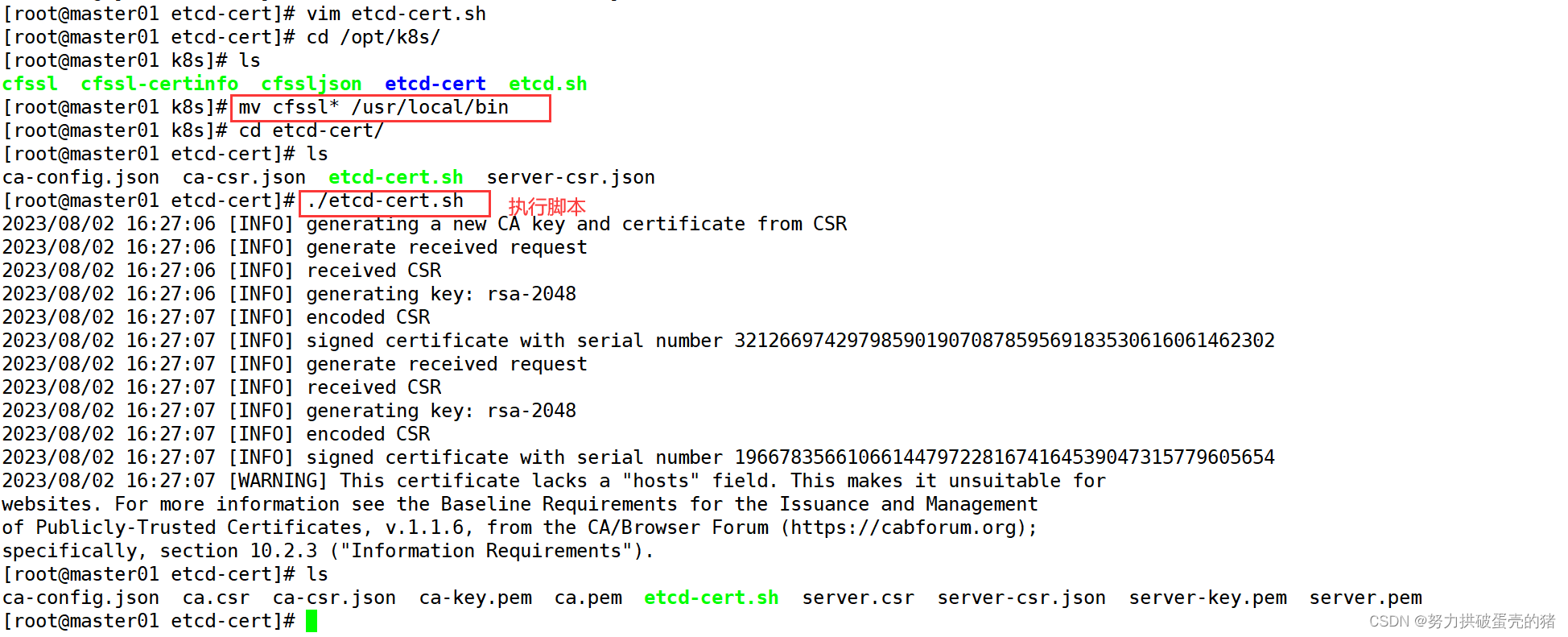 二进制安装K8S(单Master集群架构)-CSDN博客