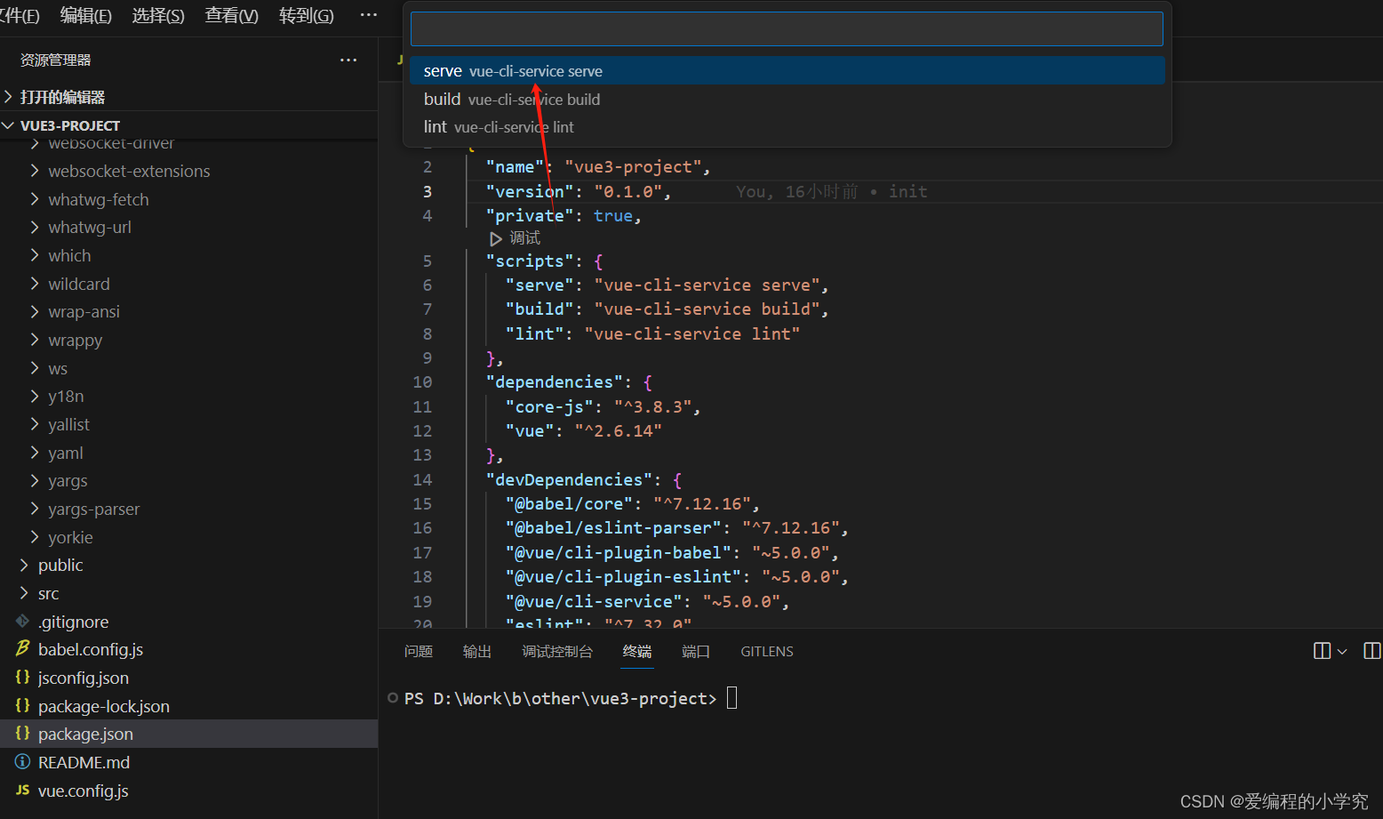 VsCode前端编程工具_vscode如何搜索nodemoudle里面内容-CSDN博客