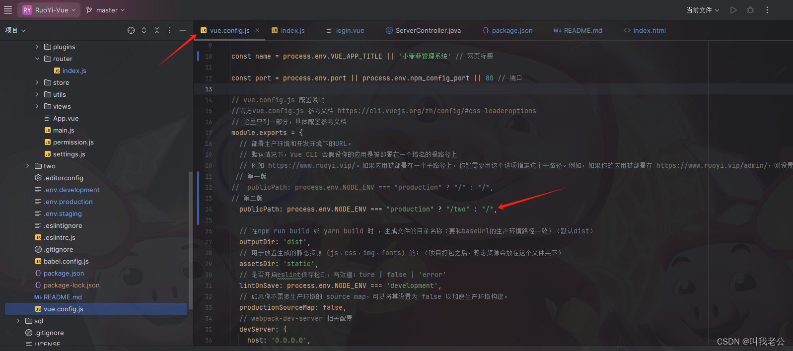 Linux部署2个若依VUE_linux系统部署多个vue项目-CSDN博客