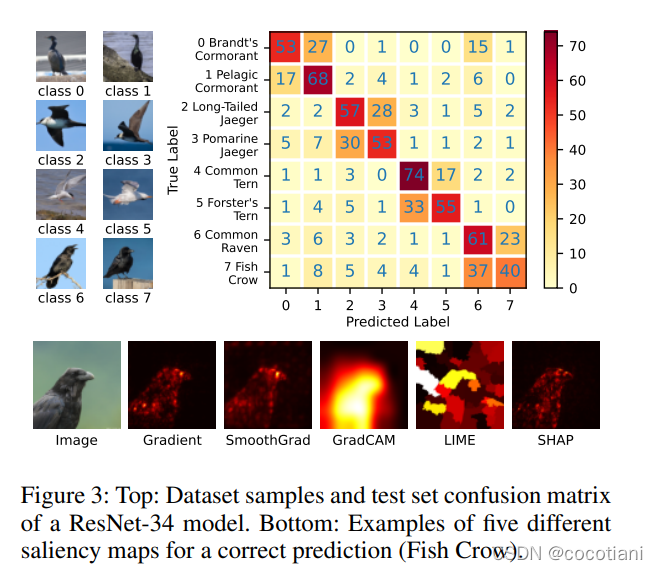 【论文笔记】AAAI2022：Do Feature Attribution Methods Correctly Attribute Features?_特征归因方法-CSDN博客