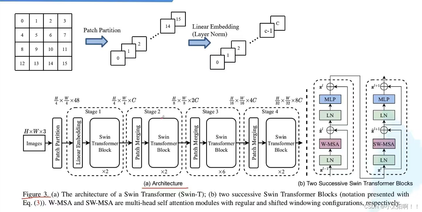 SwinTransformer模型及代码解读_swin transformer代码-CSDN博客