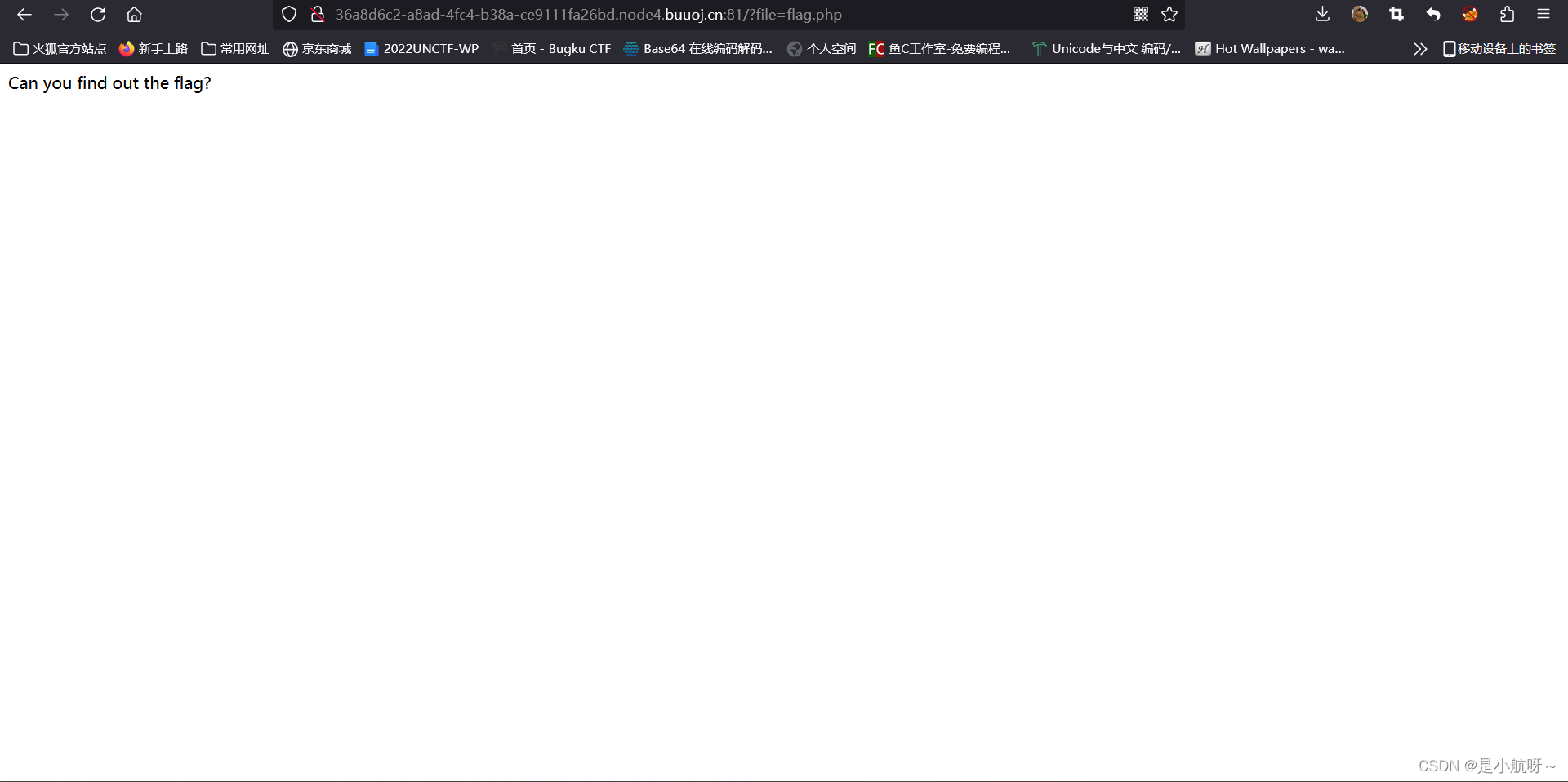 Buuctf include_buuctf includetwo-CSDN博客
