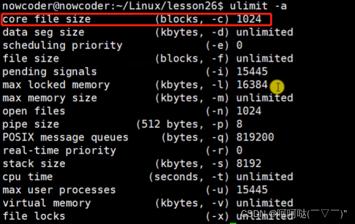基于linux下的高并发服务器开发（第二章）- 2.20 kill、raise、abort函数_kill(getpid(), 9);-CSDN博客