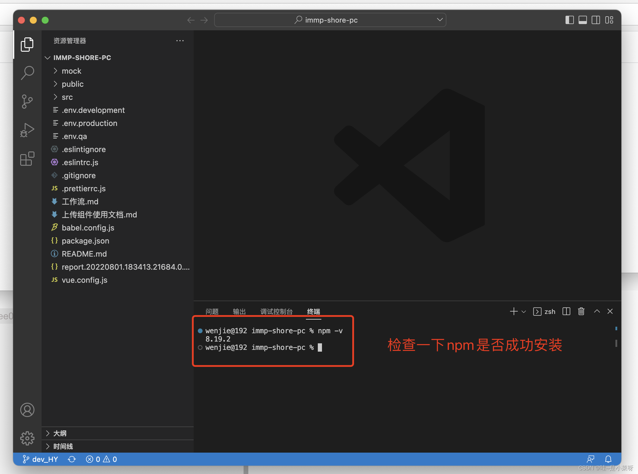MacOs安装nodejs/npm——vsCode启动前端项目_npm for mac-CSDN博客