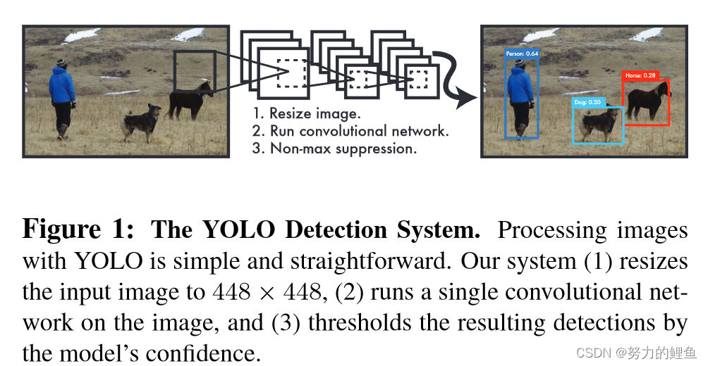 YOLOv1学习笔记以及代码介绍_yolov1代码-CSDN博客