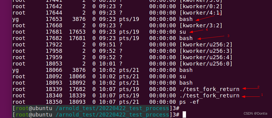 linux C/C++多进程教程（多进程原理以及多进程的应用【以多连接socket服务端为例（fork子进程处理socket_fd），同时介绍了僵尸进程产生原因与解决方法】）（getpid ...