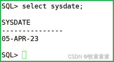 Oracle23c Free安装_oracle-database-preinstall-23c-CSDN博客
