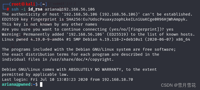 vulnhub靶机的Pwned解题分享_vulnhub靶场pwn题-CSDN博客