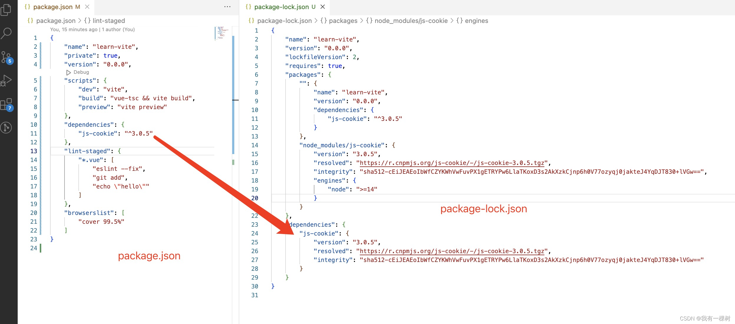 node中npm依赖安装顺序，package-lock.json文件详解_npm 依赖安装顺序-CSDN博客