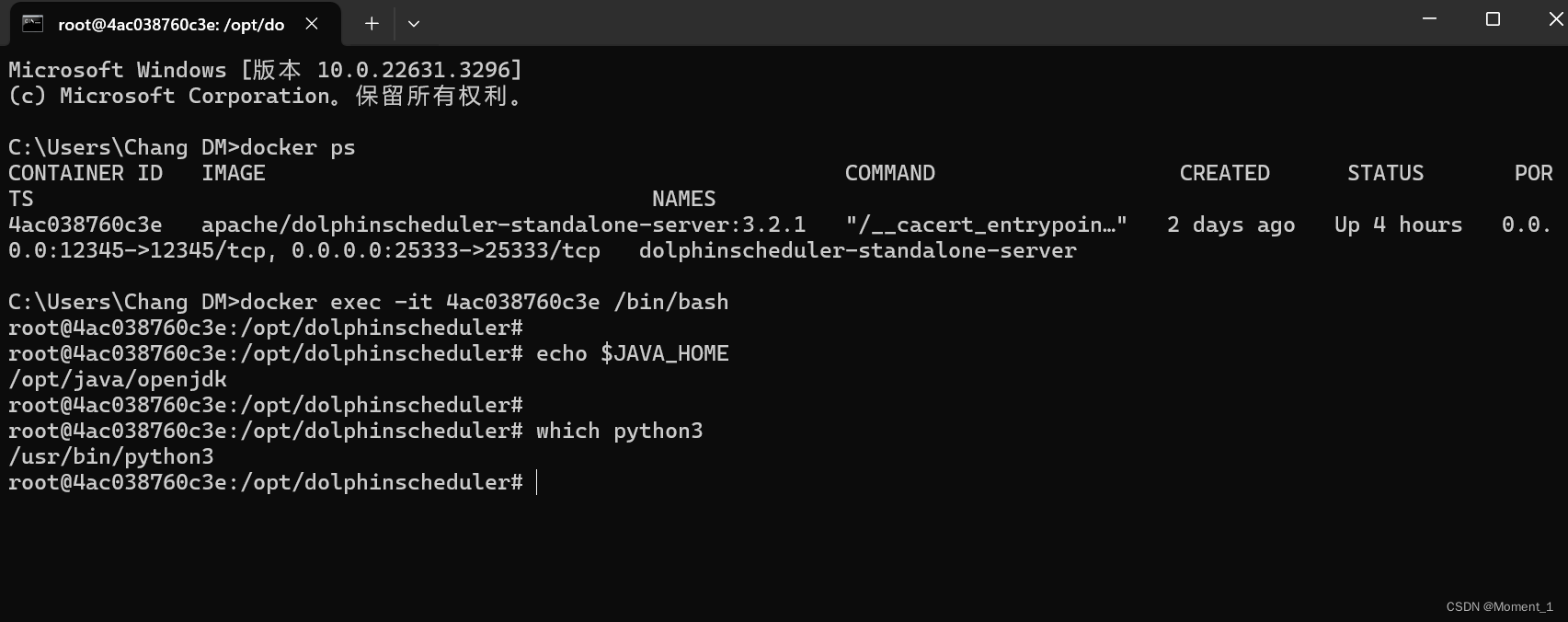 Docker部署dolphinscheduler stand-alone并集成datax_dolphinscheduler datax-CSDN博客