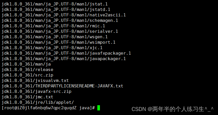 在linux服务器上安装JDK环境（保姆教程）_能在服务器上直接下载jdk吗-CSDN博客