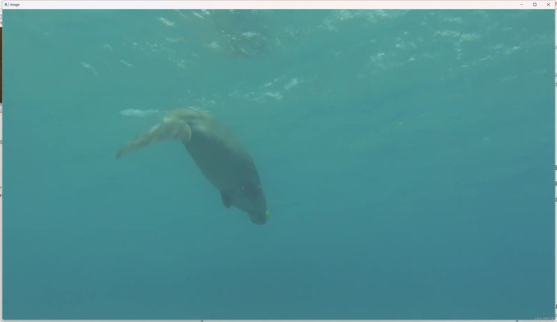 Python读取中文路径出现乱码问题的解决方案_cv2.imread乱码-CSDN博客