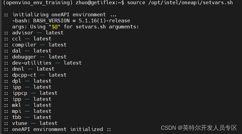 英特尔独立显卡打造视频 AI 计算盒实现训推一体:上篇_intel level zero-CSDN博客