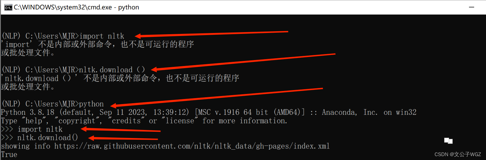 Anaconda 下安装NLTK(亲测快速)_anaconda nltk-CSDN博客