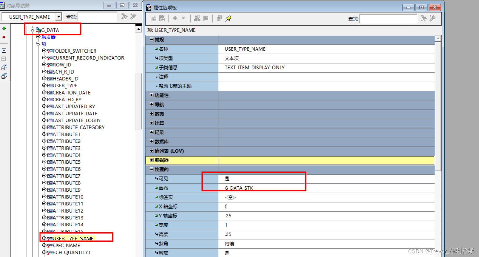 EBS Form带Folder的Tab标签页开发_ebs folder开发-CSDN博客