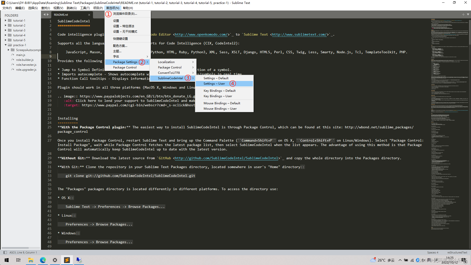 用Sublime玩Screeps添加代码提示ScreepsAutocomplete_screeps编辑器-CSDN博客