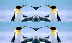 WPF中的ImageBrush常用方式_wpf imagebrush 高度80%-CSDN博客