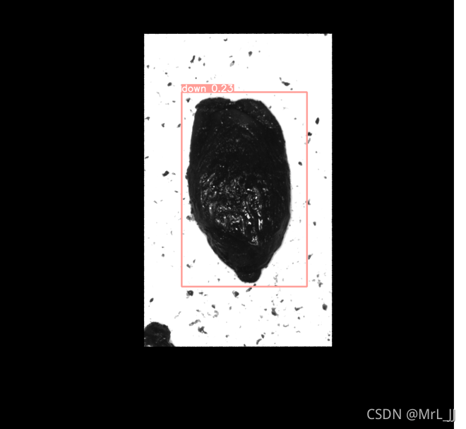 YOLOV5训练自定义数据集(PyCharm超详细版)_pycharm yolov5换数据集-CSDN博客