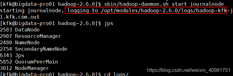第一次启动journalnode，没有启动成功_启动不了journalnode-CSDN博客