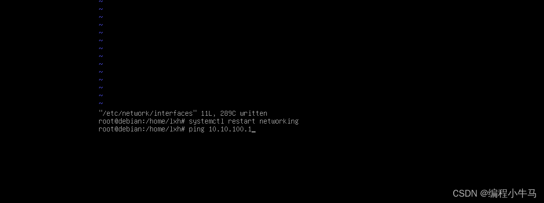 Debian系统如何进行多网卡配置并进行ping通_debian网卡配置-CSDN博客