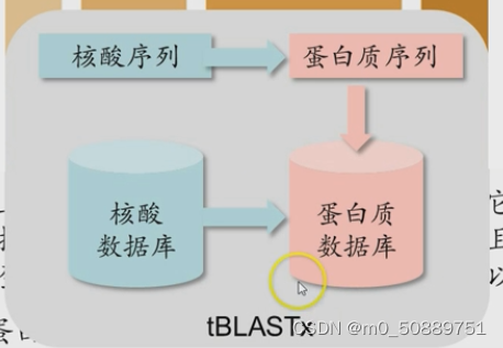 Blast 几种方法的具体用法以及含义_tblastn-CSDN博客