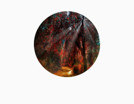 Flutter中的Image组件和Clip裁剪组件_flutter clipbehavior-CSDN博客