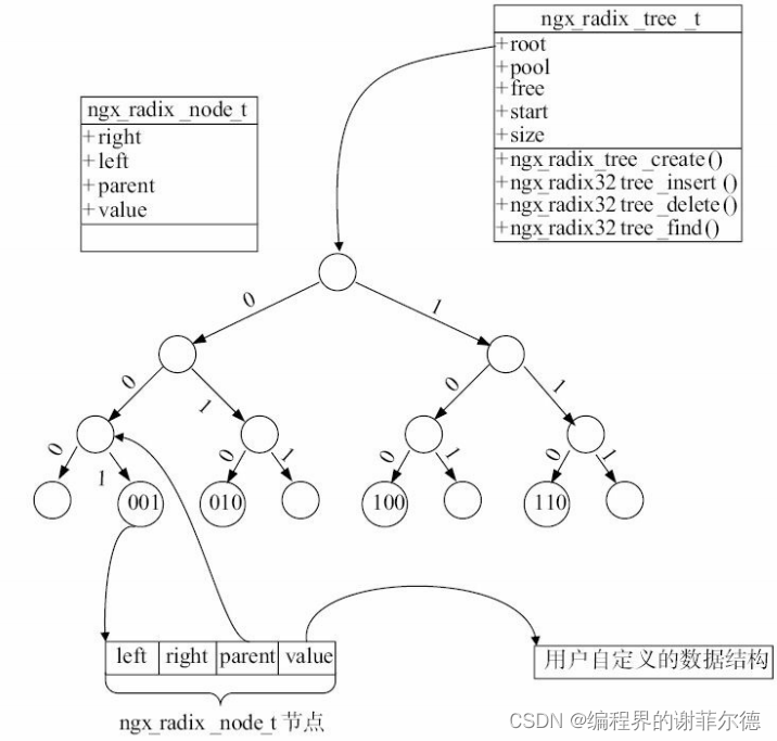 nginx源码分析--基数树-CSDN博客