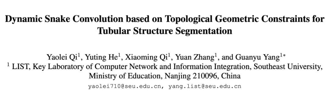 ICCV 2023 | 动态蛇形卷积（Dynamic Snake Convolution）用于管状结构分割-CSDN博客
