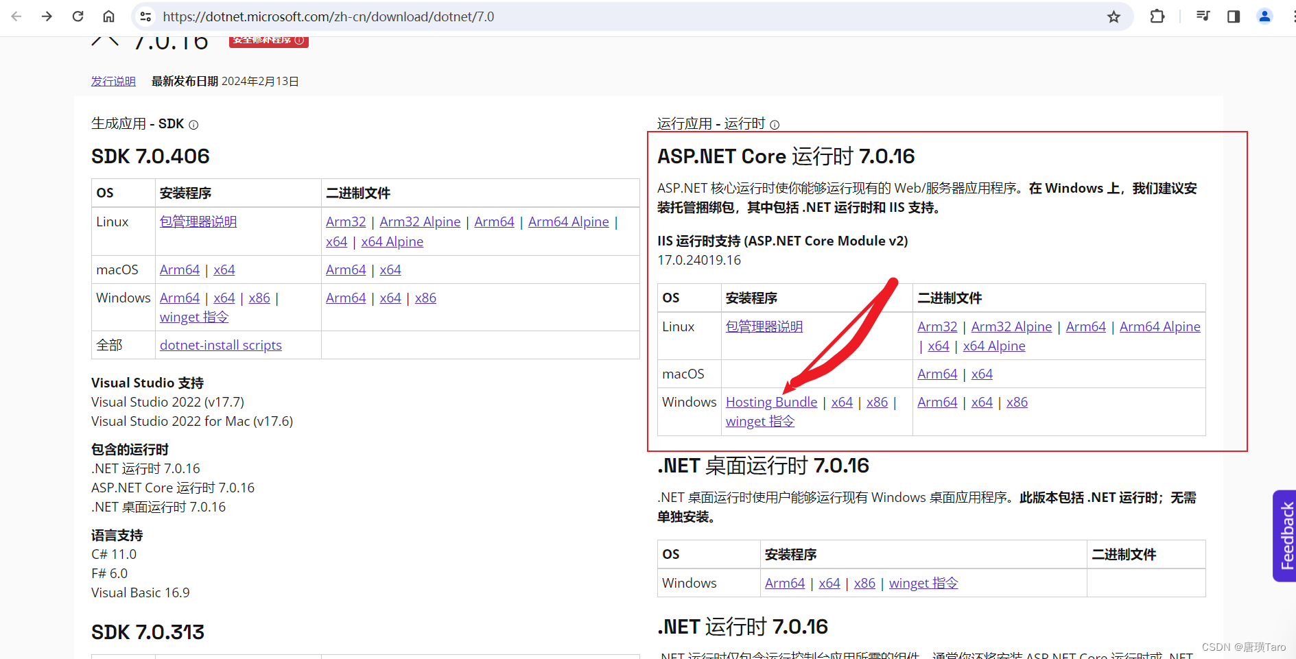 IIS部署.Net 7项目_iis net7-CSDN博客