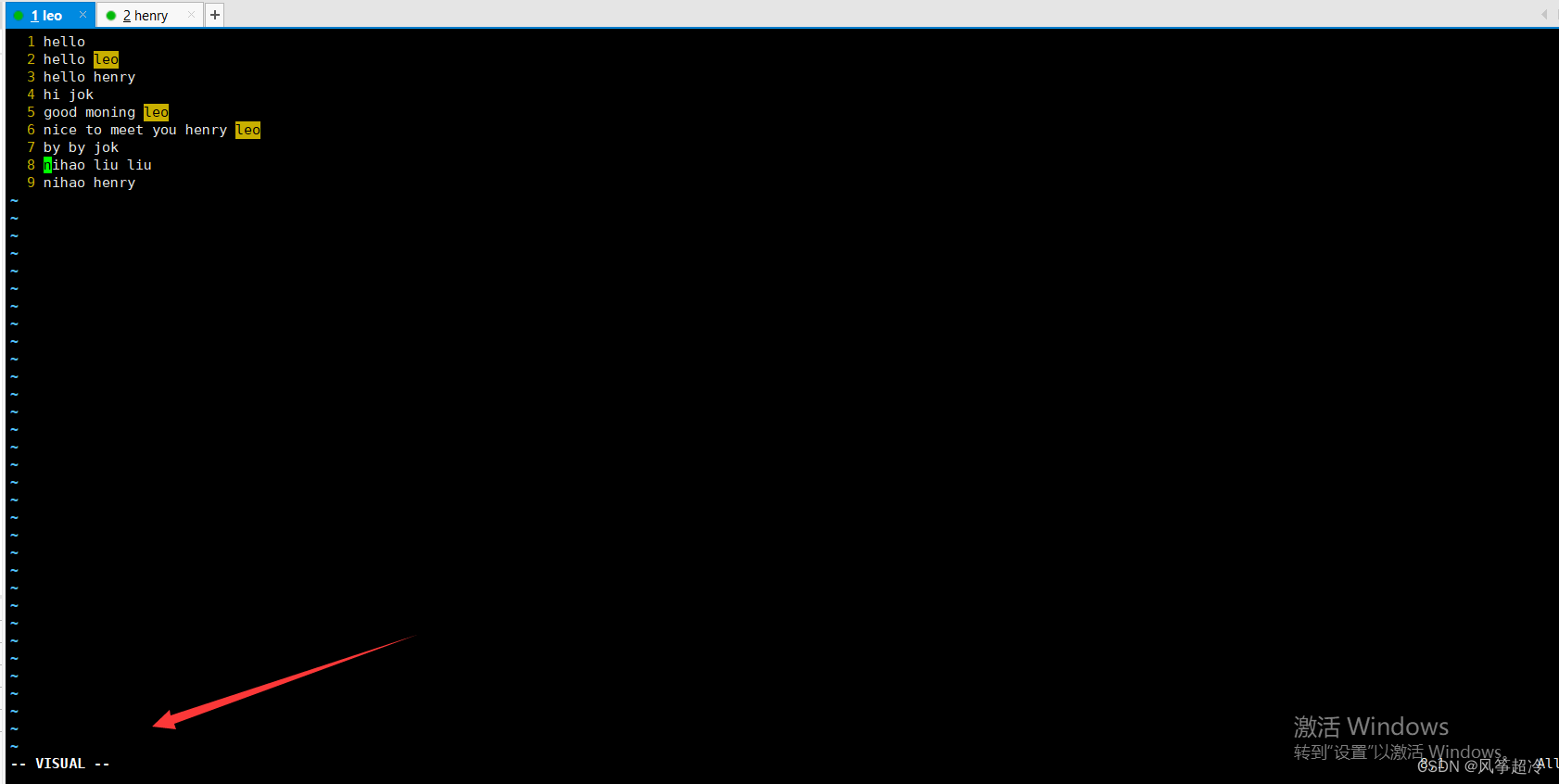 【从Python基础到深度学习】 8. VIM两种状态_python vim-CSDN博客