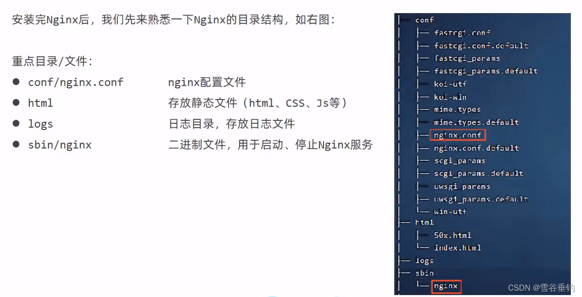 Nginx入门指南：安装、配置与应用,-CSDN博客