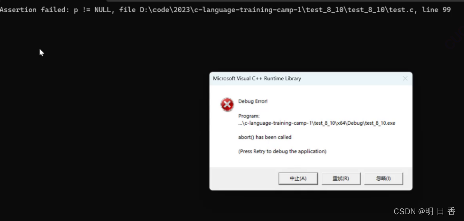 C语言 指针与assert-CSDN博客