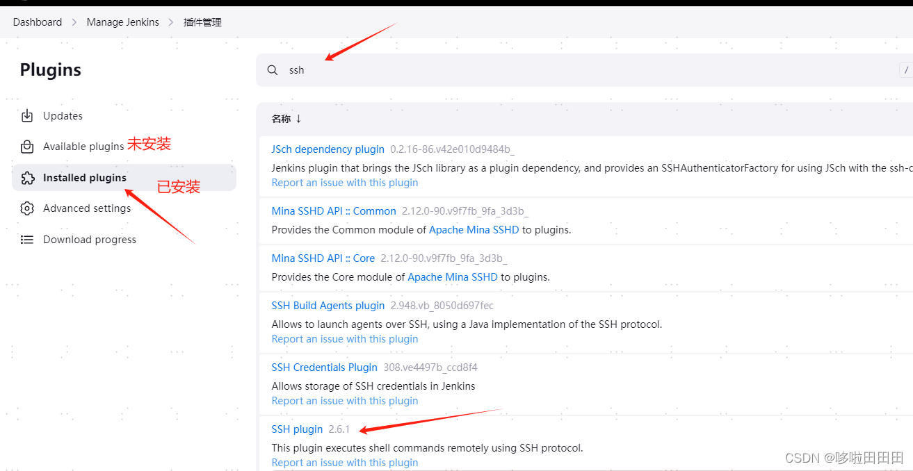 容器化部署 Jenkins，并配置SSH远程操作服务器_jenkins ssh-CSDN博客
